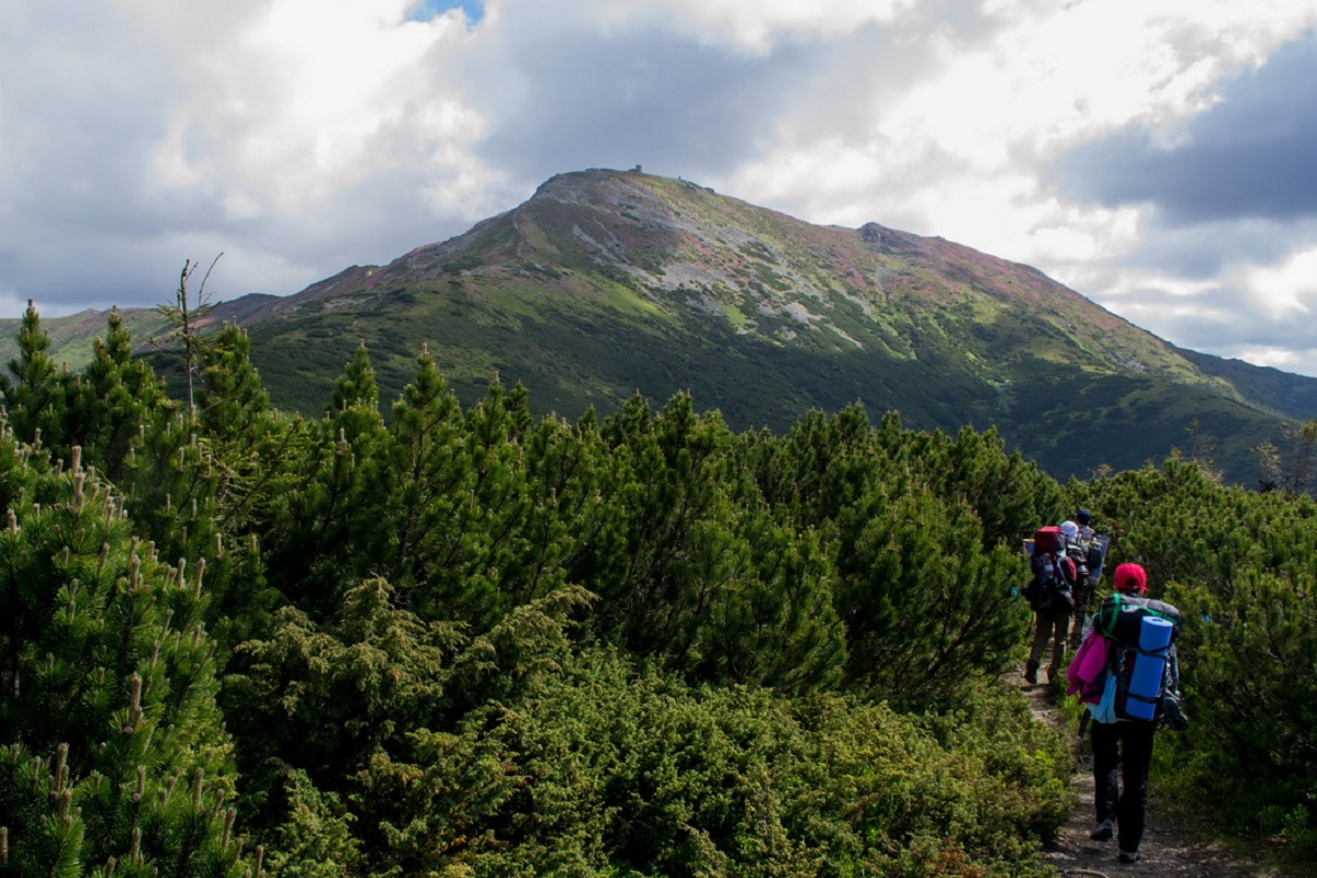 Mount Pip Ivan of Chornohora (Pip Ivan, Black Mountain) — elevation ...